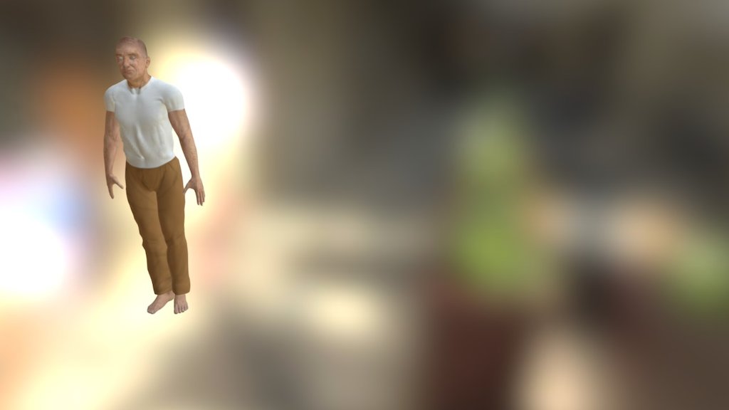Joe Kata Heian Shodan V01-fullkata - 3D model by zaralev [b87d1b3 ...