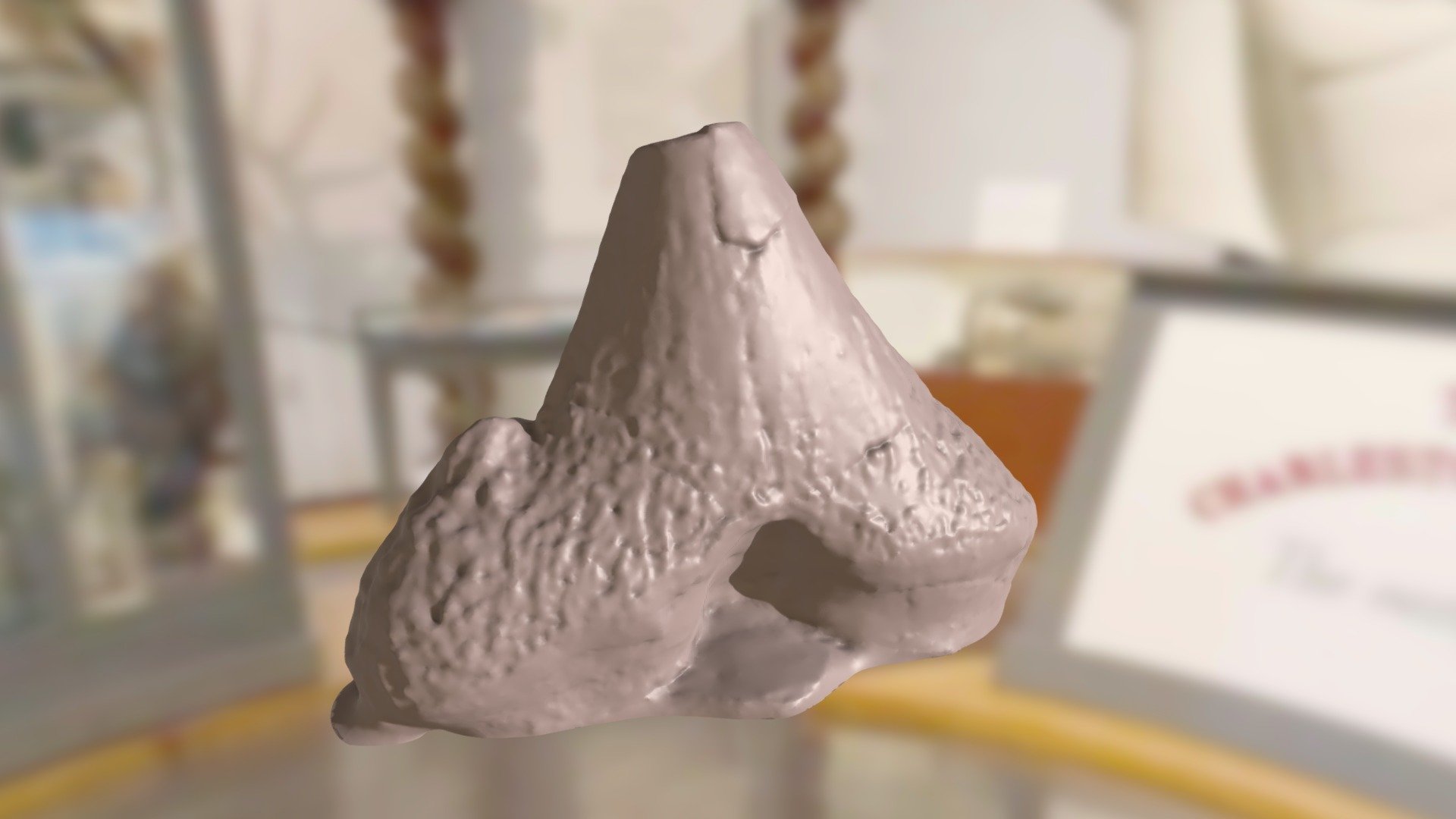 ChM PV5034 - Georgiacetus vogtlensis tooth - 3D model by The Charleston ...