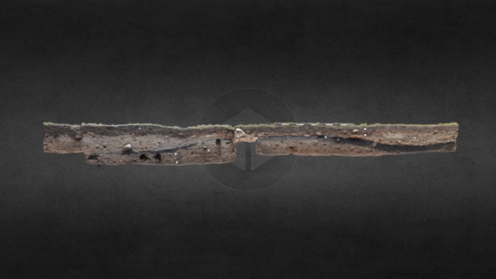 Praetorium Consularis - S.XX - Profil V - 3D model by Sebastian ...