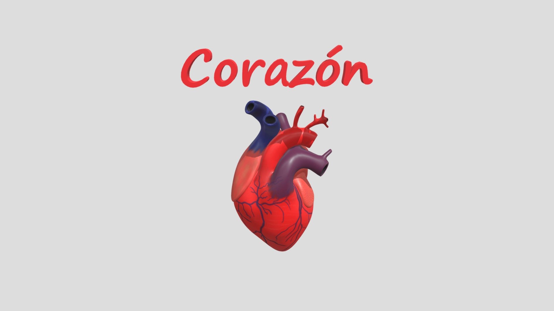 Corazon - 3D model by ximergp [b894b14] - Sketchfab