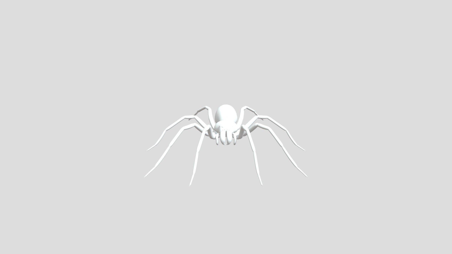 Realistic Spider - Download Free 3D model by madking [b89e69d] - Sketchfab