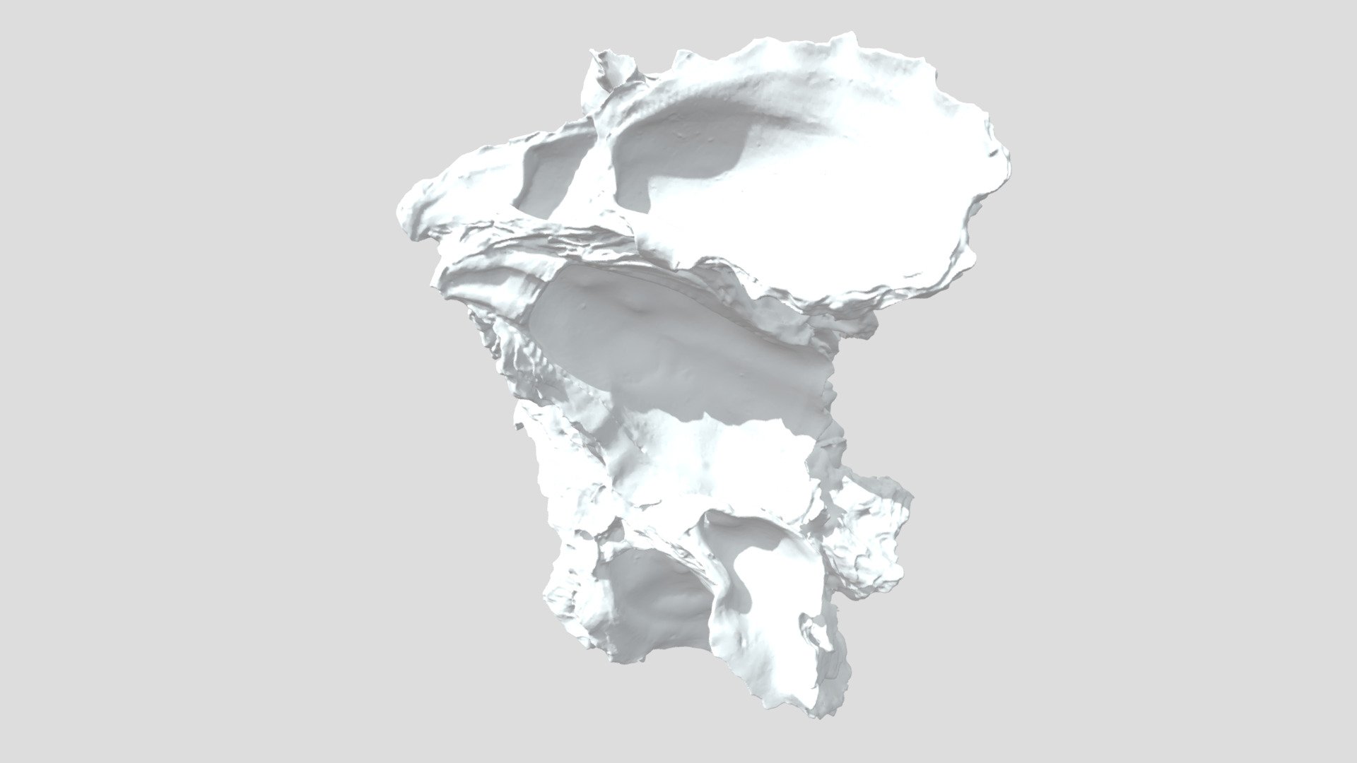 Oyster Cluster - Download Free 3D model by Museum for Touch- Research ...