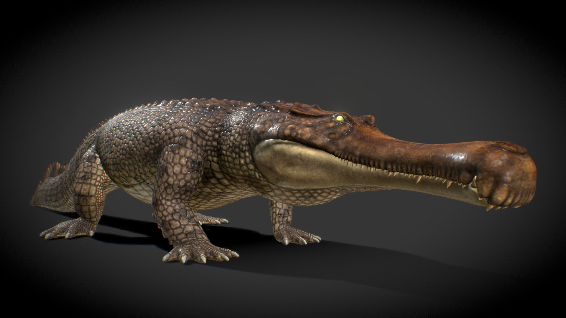 Sarcosuchus Imperator - 3D model by Exmoor beast (@Exmoorbeast ...