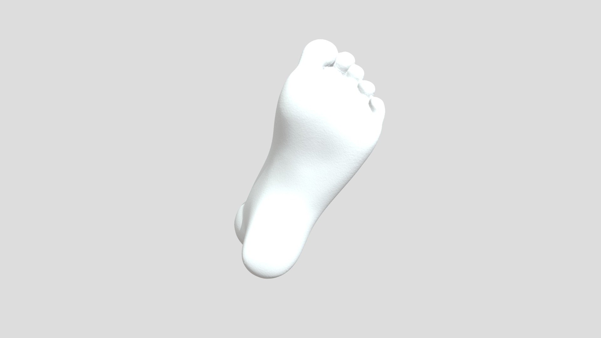 Foot - 3D model by yourdon4ik [b8bef90] - Sketchfab