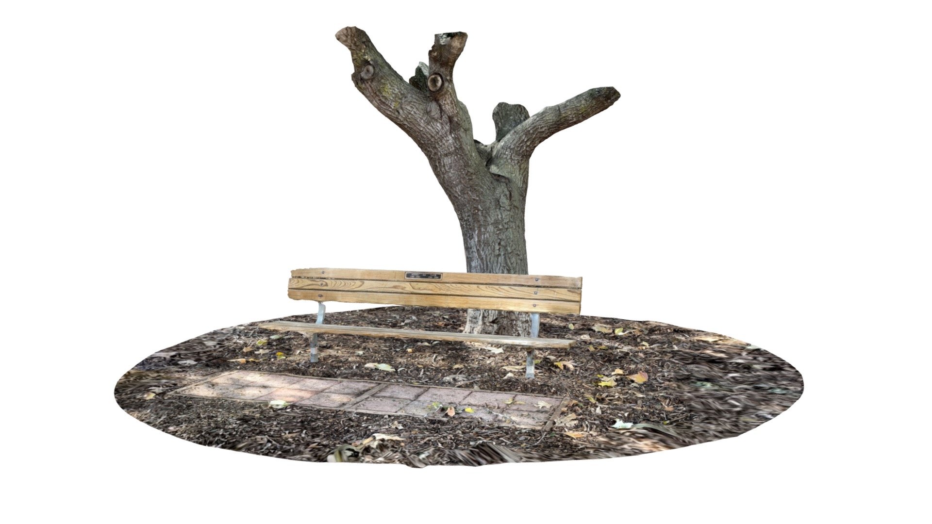 Tree and Bench - Download Free 3D model by jtressle [b8c2748] - Sketchfab