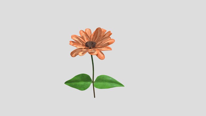 Zinnia 3D models - Sketchfab