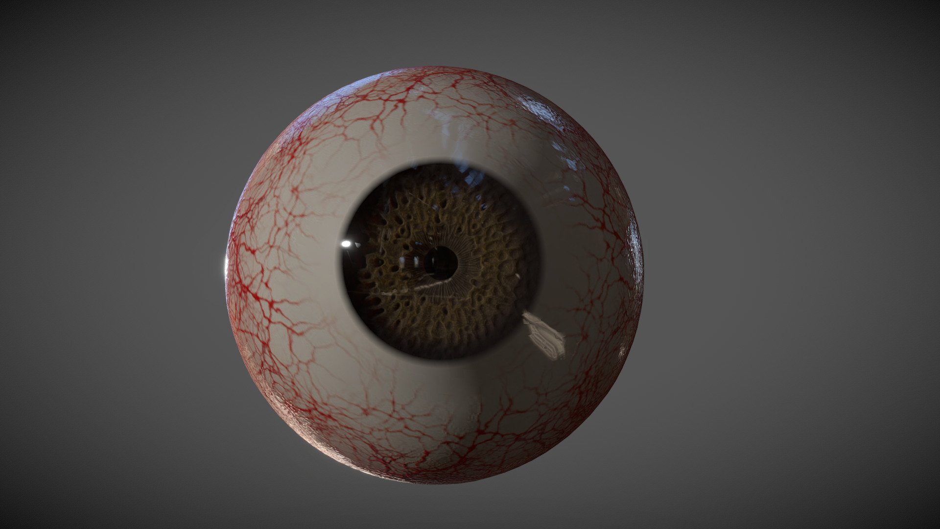 Eye High-Poly - 3D model by guillealvarezdib [b8cd442] - Sketchfab