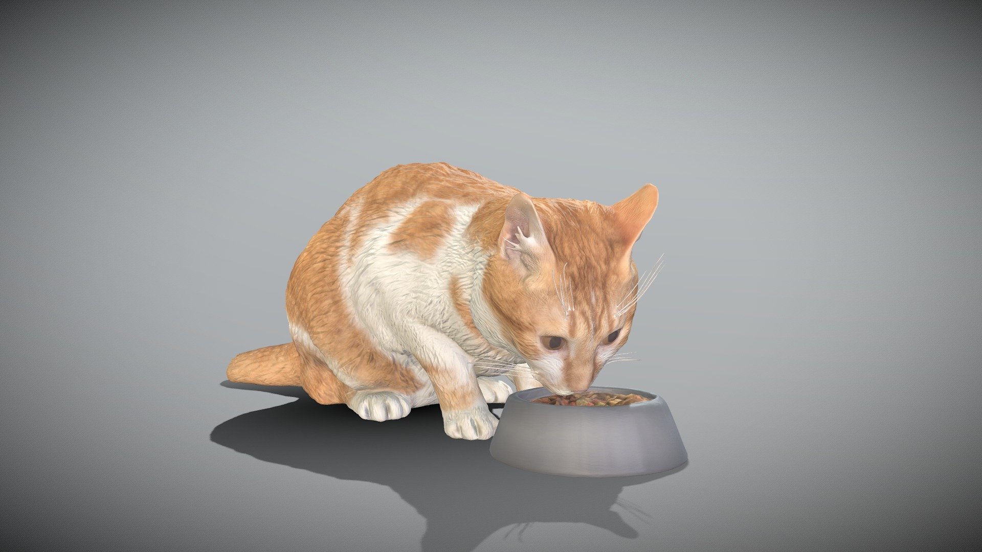 Cat eating food 12 - Buy Royalty Free 3D model by deep3dstudio [b8ce885 ...