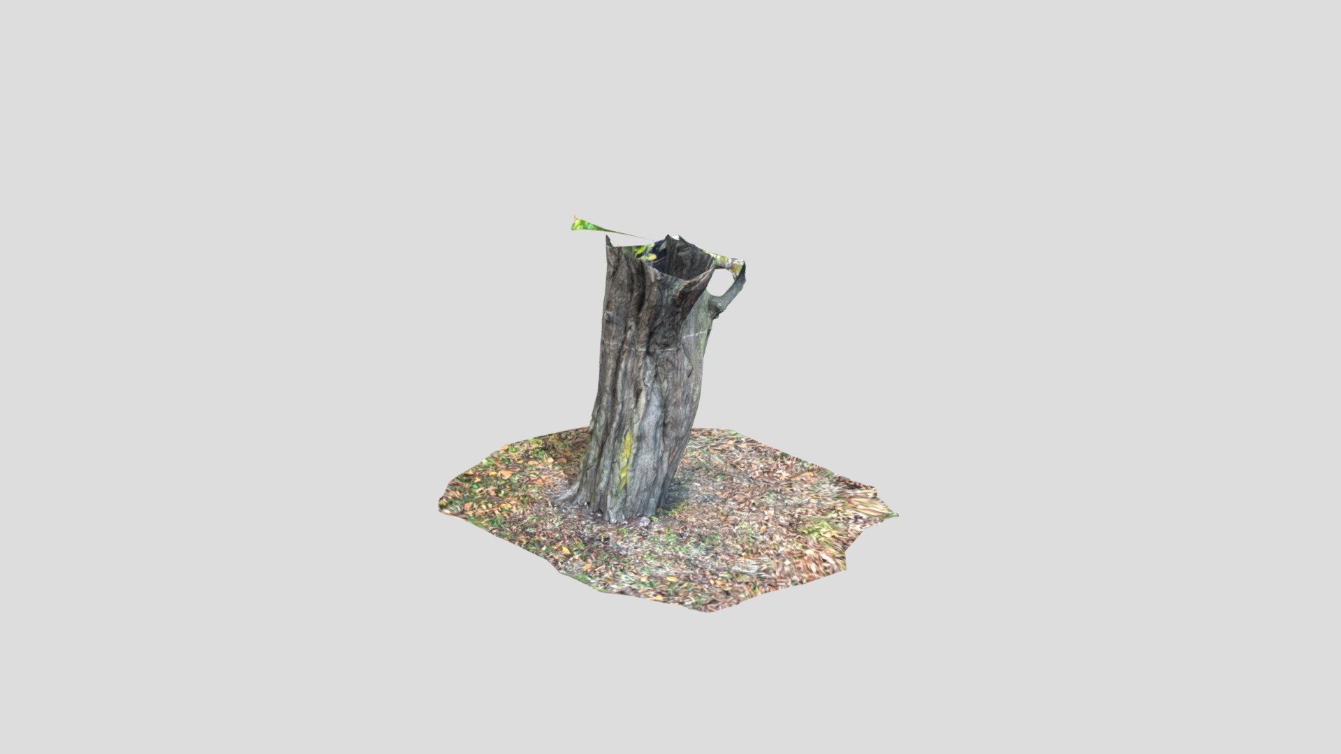 Ssz kampus WL na UR - 3D model by sandra.szott [b8d1b50] - Sketchfab