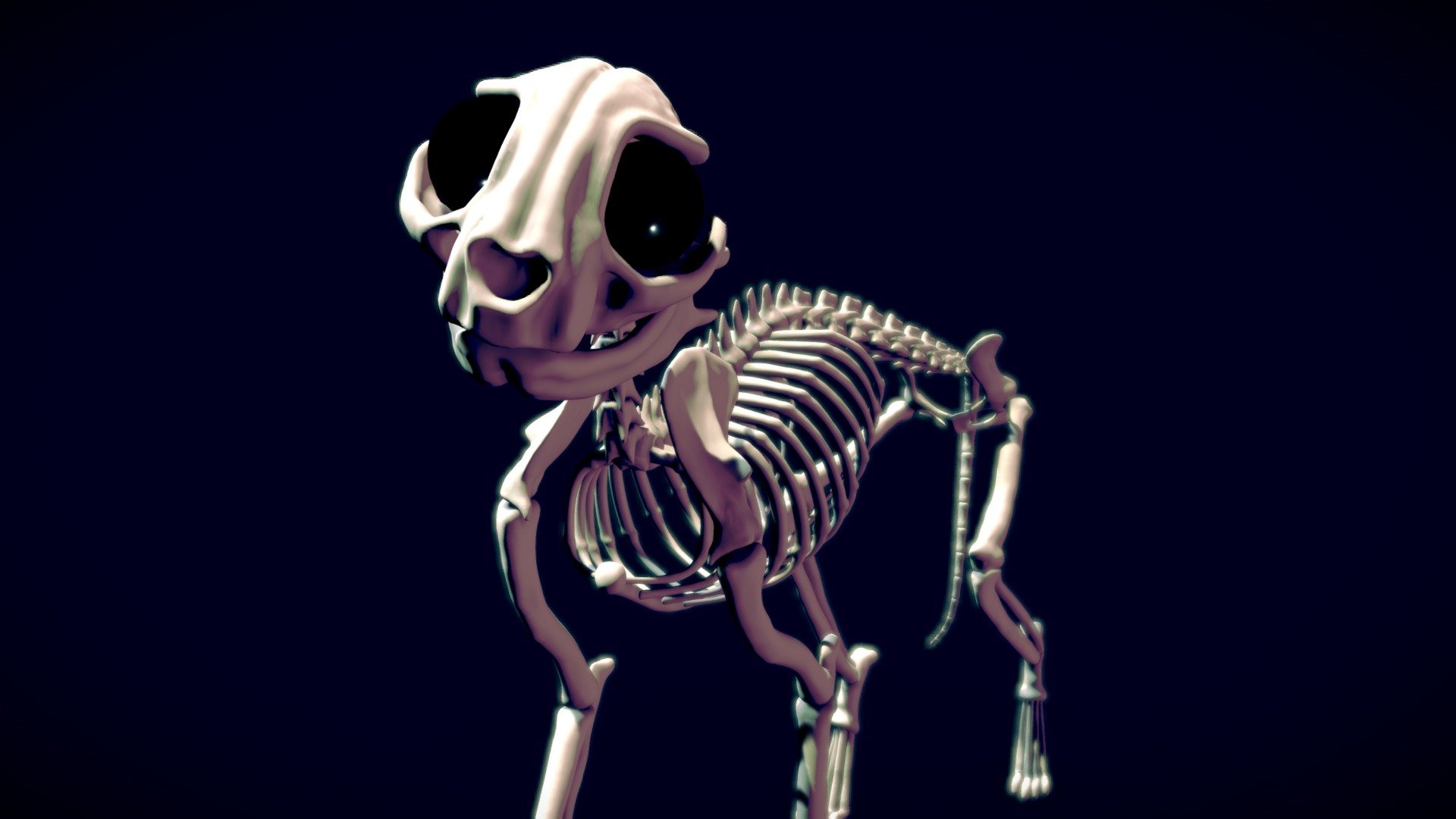 Skelly the Cat - SJ day 7 - Download Free 3D model by Lillya [b8d78ee ...
