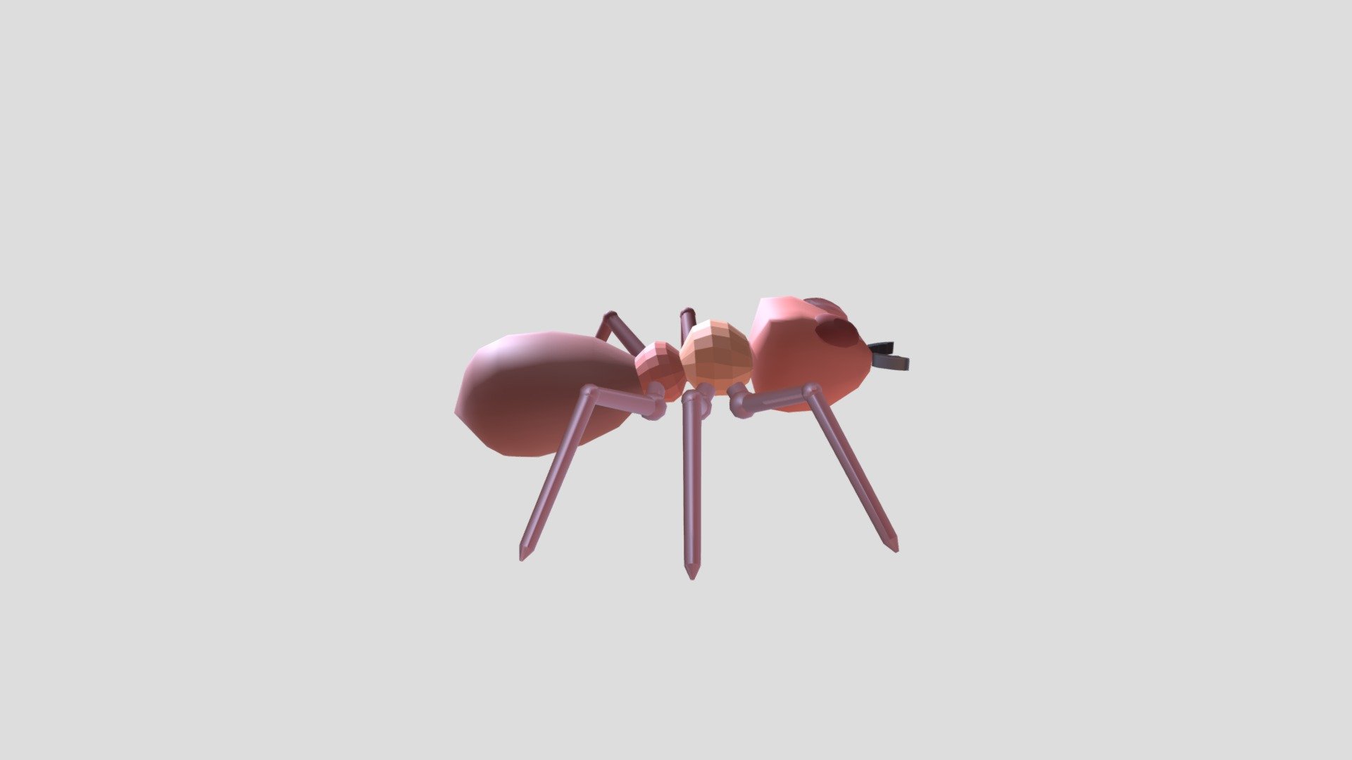ant - Download Free 3D model by devilmeow [b8dd238] - Sketchfab