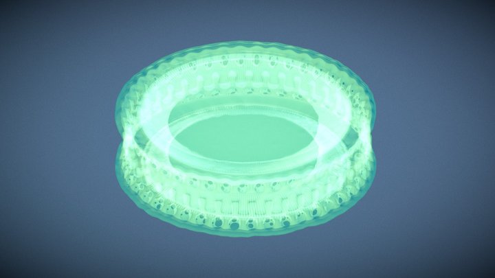 Photosynthesis 3D models - Sketchfab