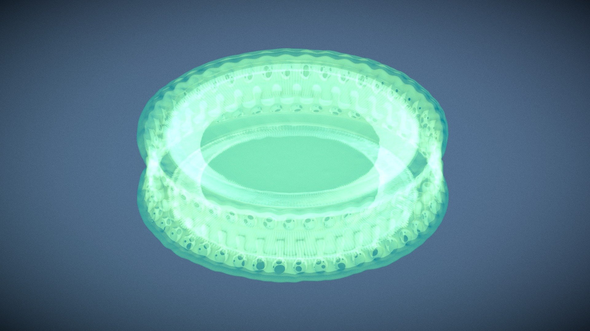 Circular Diatom - Buy Royalty Free 3D model by PARSONSARTS (@tomparsons ...