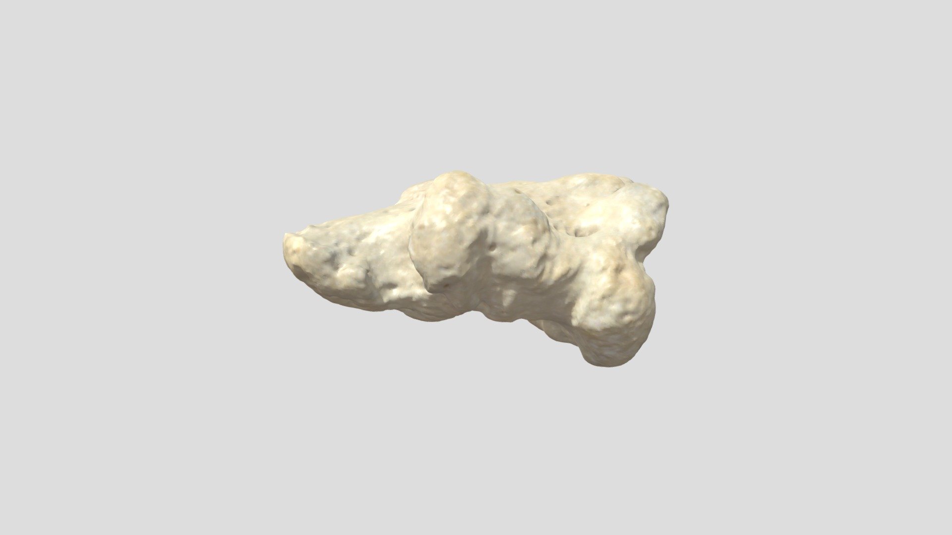 Phalanx Media- Distalis V R - annotaties - 3D model by Universiteit ...