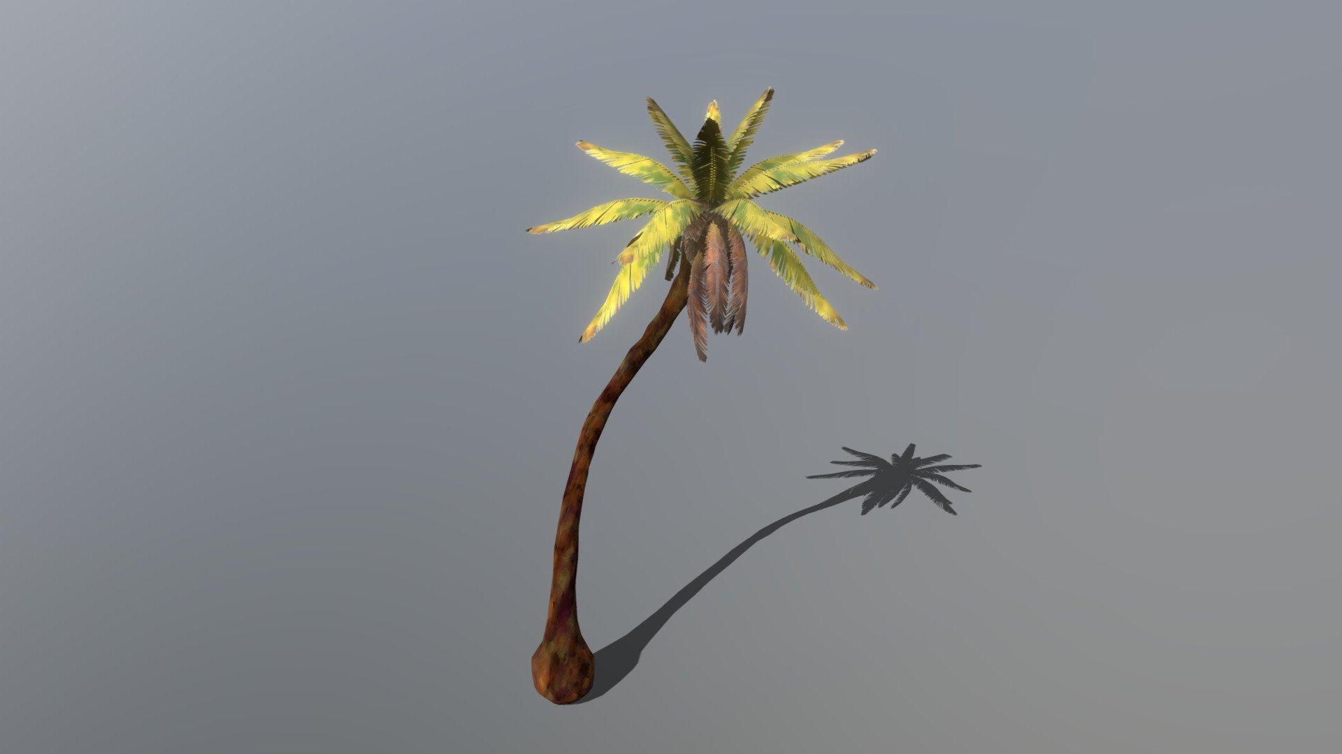 Stylised palm tree - 3D model by Adam Kiełbiński-Mielczarski ...