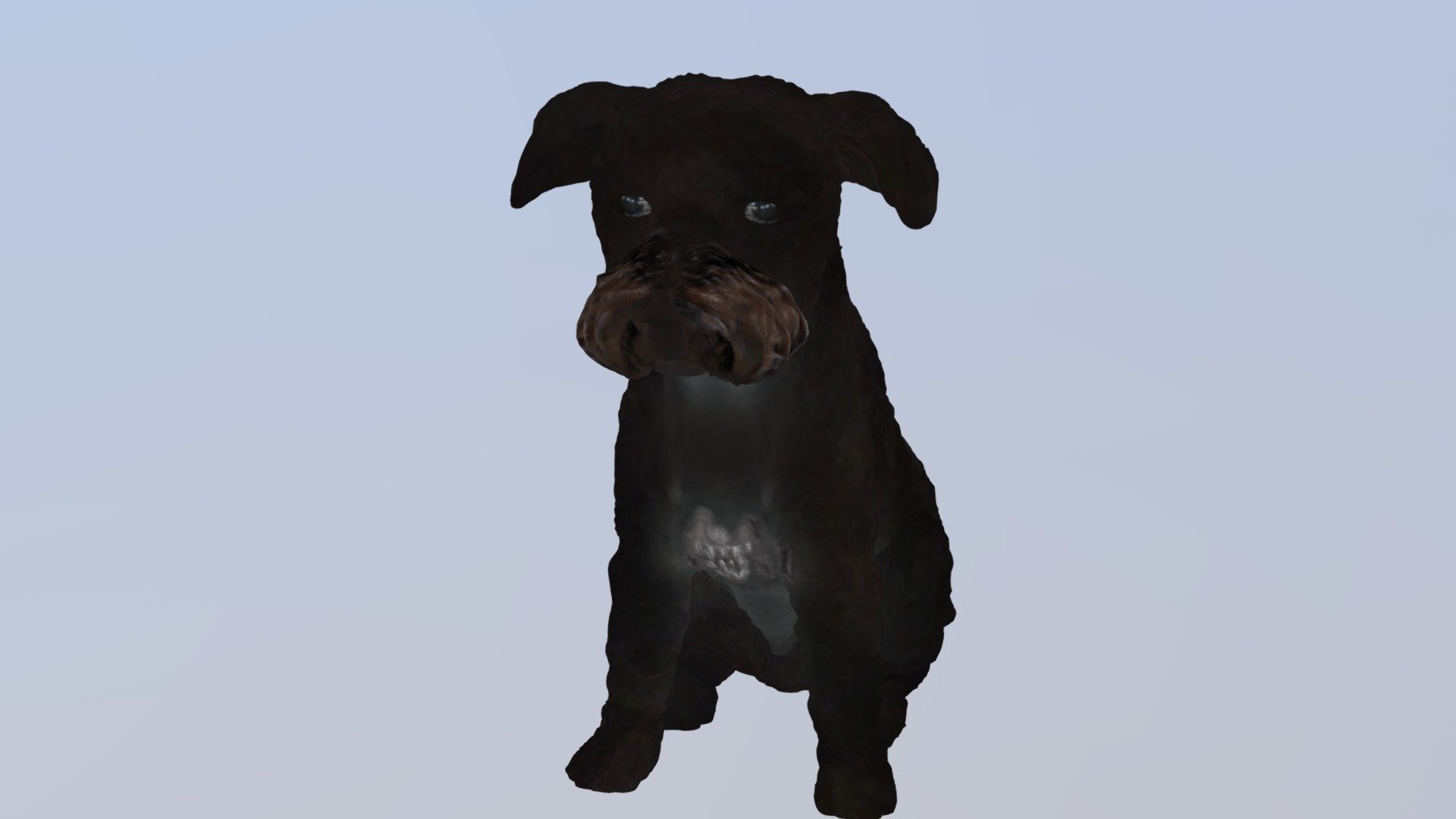 1909005- Coco- Dog - 3D model by Arty Lobster - Pet Sculptures Made ...