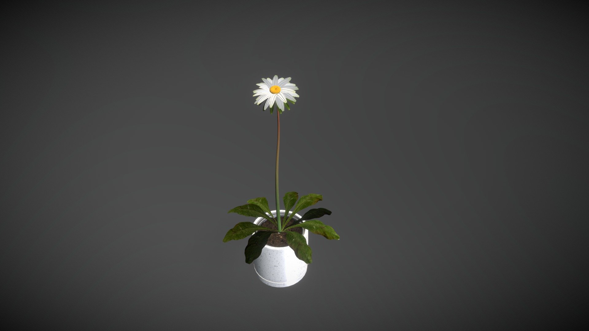 Flower 02 - 3D model by alishafiei1998 [b91ee41] - Sketchfab