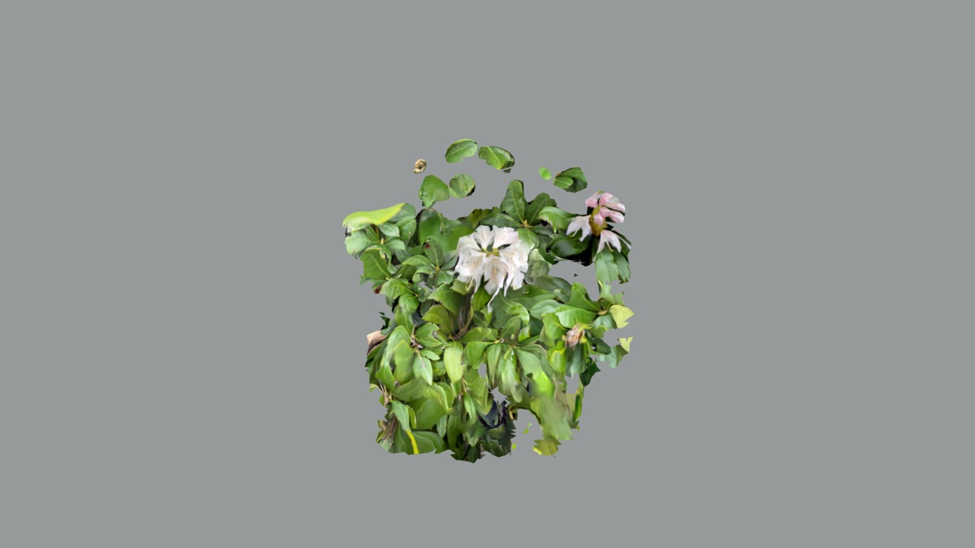Nature test - Download Free 3D model by Majomo [b924349] - Sketchfab