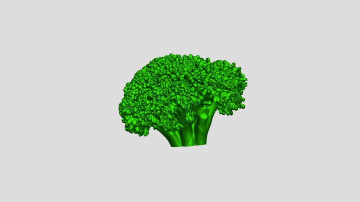 Broccoli 3D models - Sketchfab
