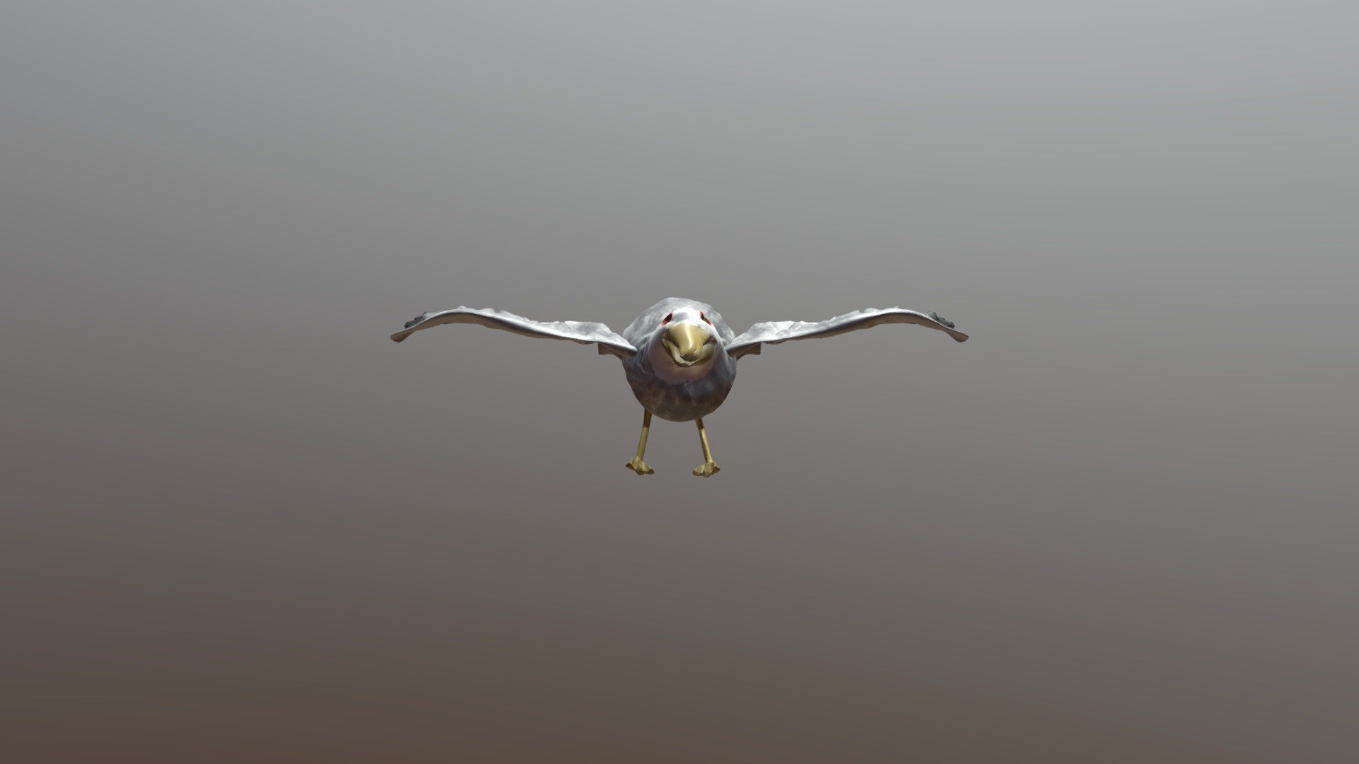Seagull - 3D model by SWIVALLER [b932085] - Sketchfab