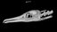 Double-crested cormorant skull (OUVC 10847) - Download Free 3D model by ...
