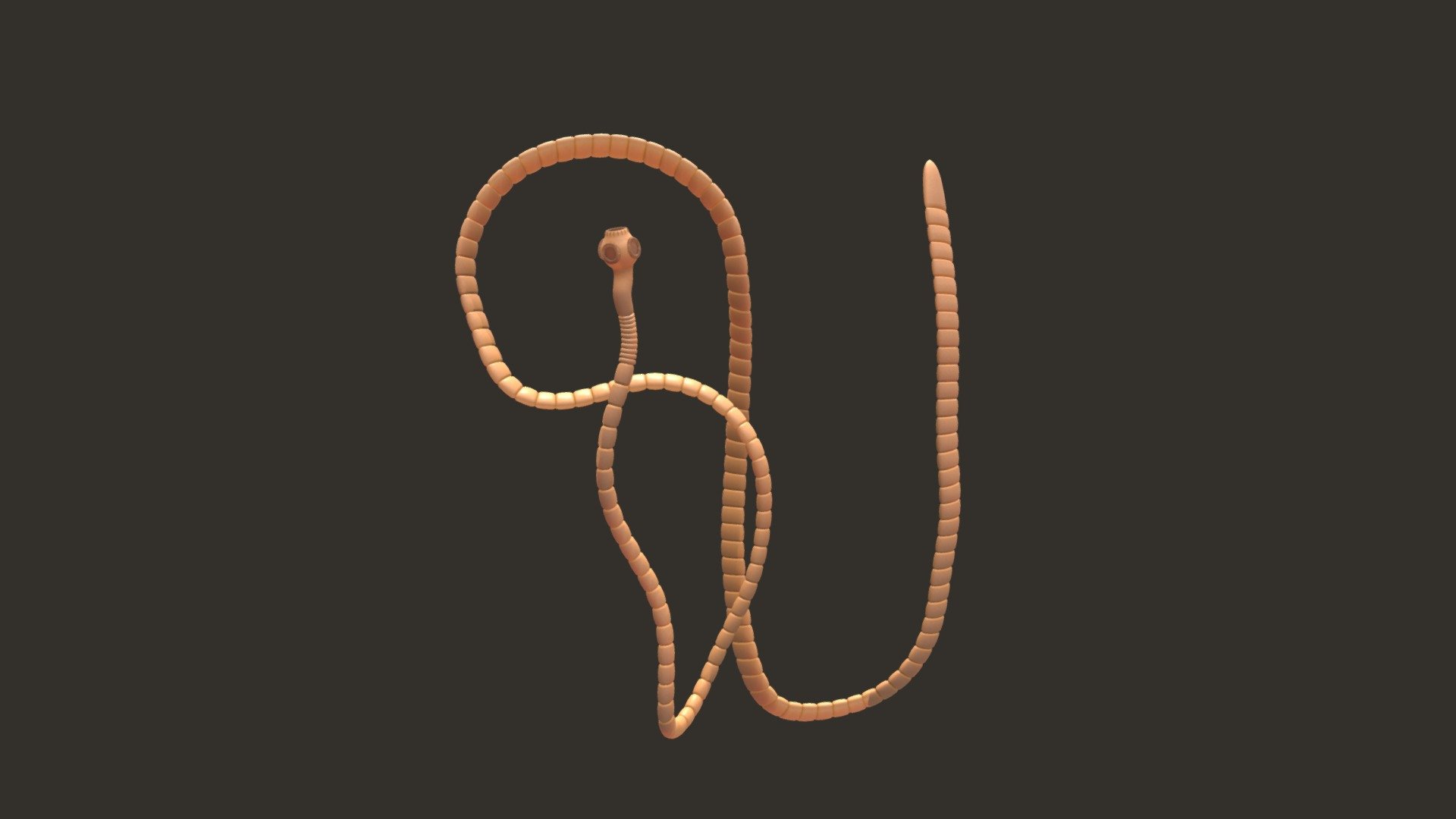TapeWorm - 3D model by Blue (@p.jitendra1893) [b93ad71] - Sketchfab