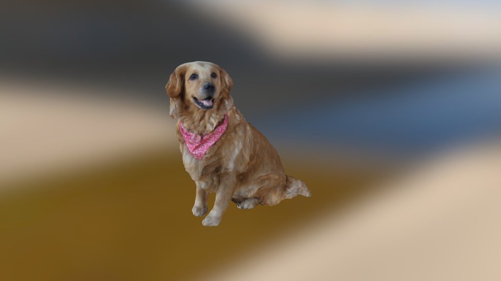 Golden - 3D model by Alex (@alexchancw) [b93e9dd] - Sketchfab