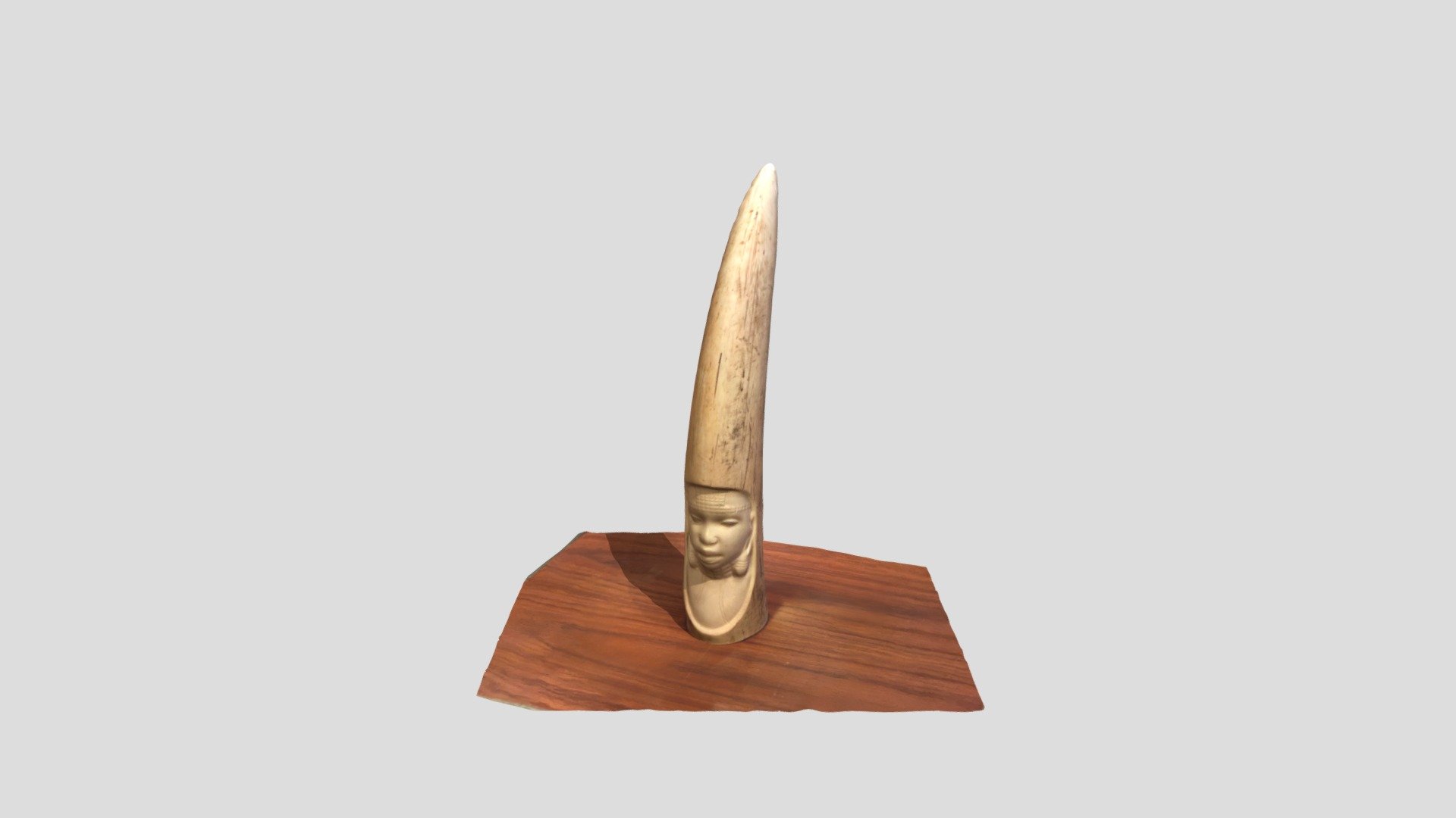 Ivory Tusk - Tanzania - Download Free 3D model by Avin (@avinshah ...