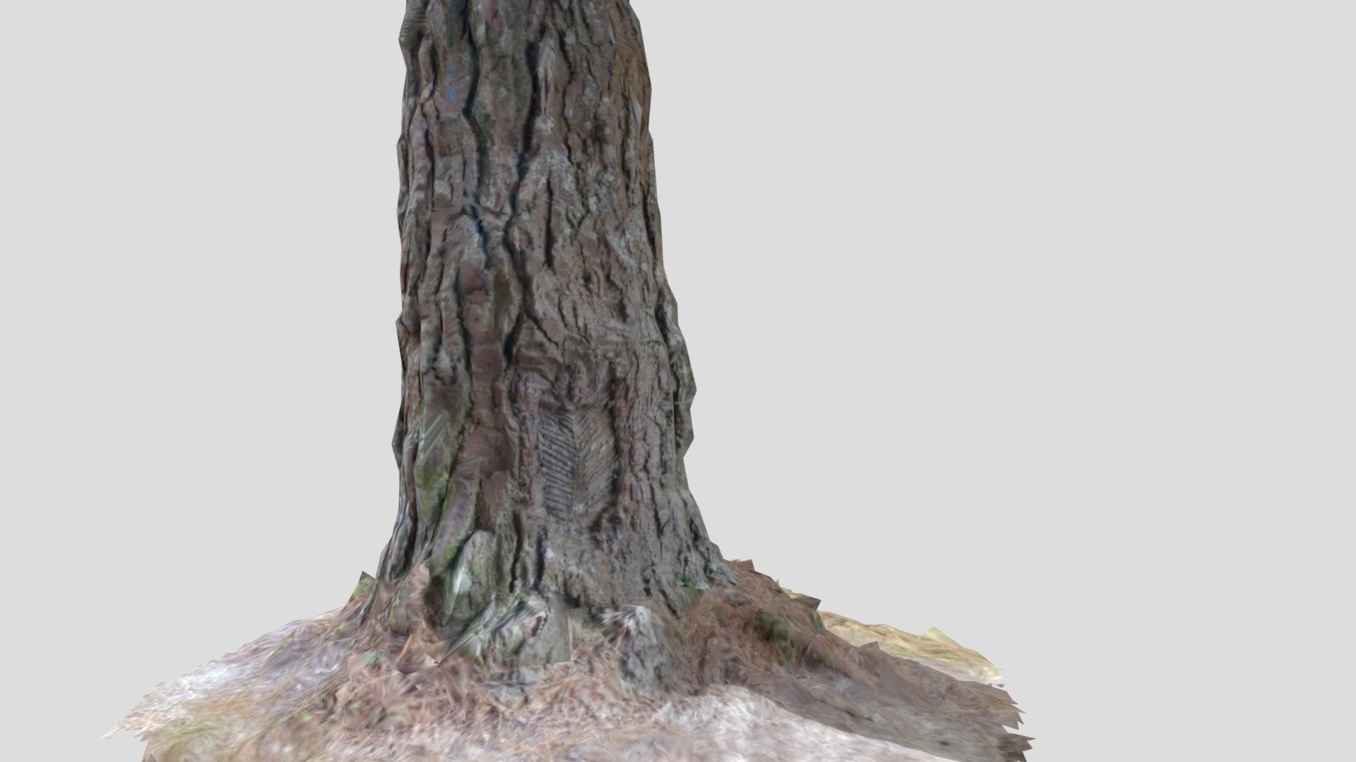 Low Poly Realistic Tree Photogrammetry - Download Free 3D model by ...