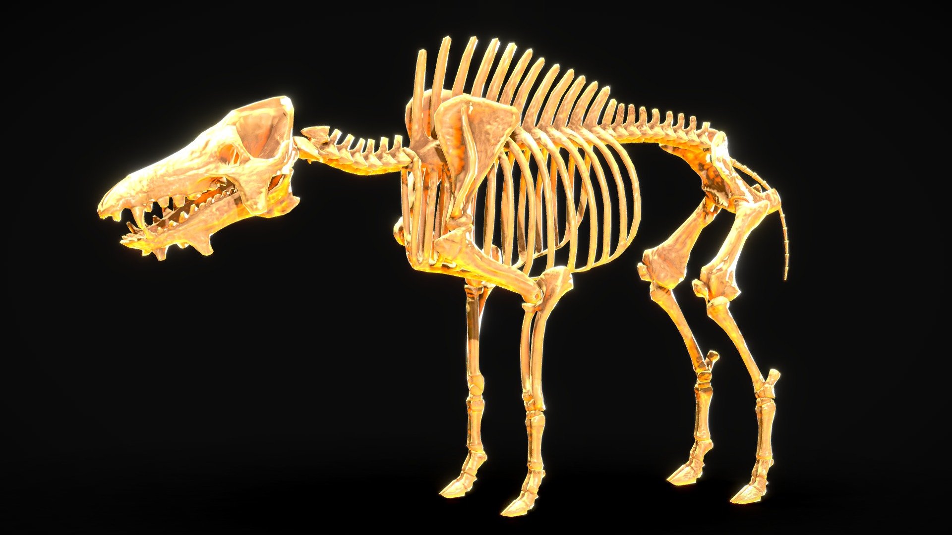 Realistic Mammals Fossil - Entelodont - Buy Royalty Free 3D model by ...