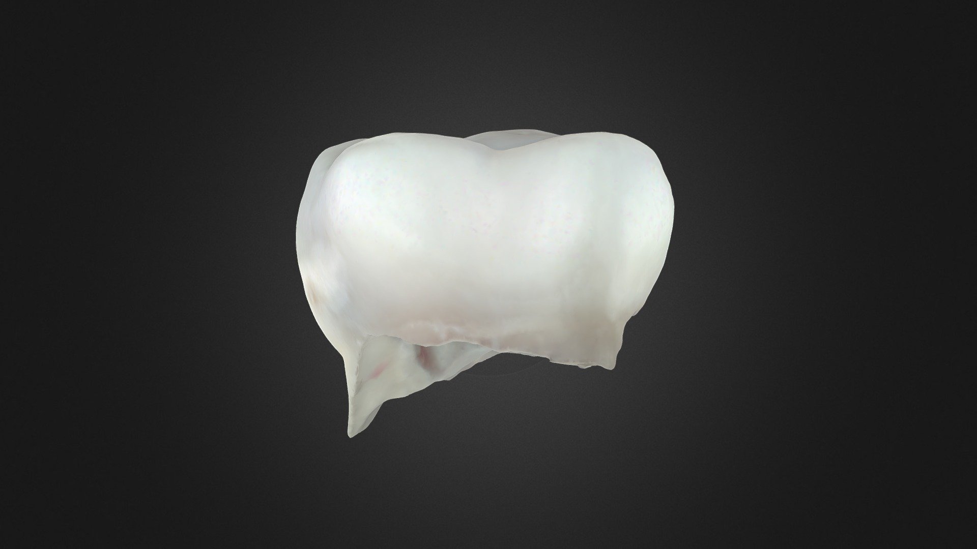Dente 85- Lower Right Second Molar (ID 85a) - Download Free 3D model by ...