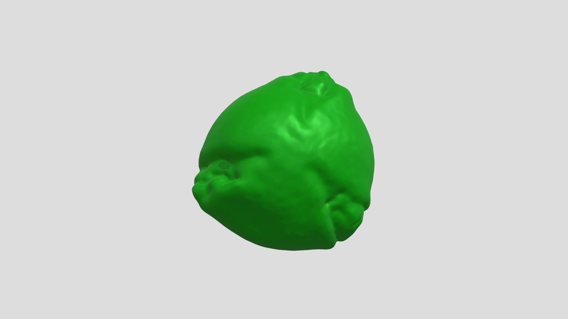 Gorse (Ulex europaeus) pollen - 3D model by Cardiff University ...