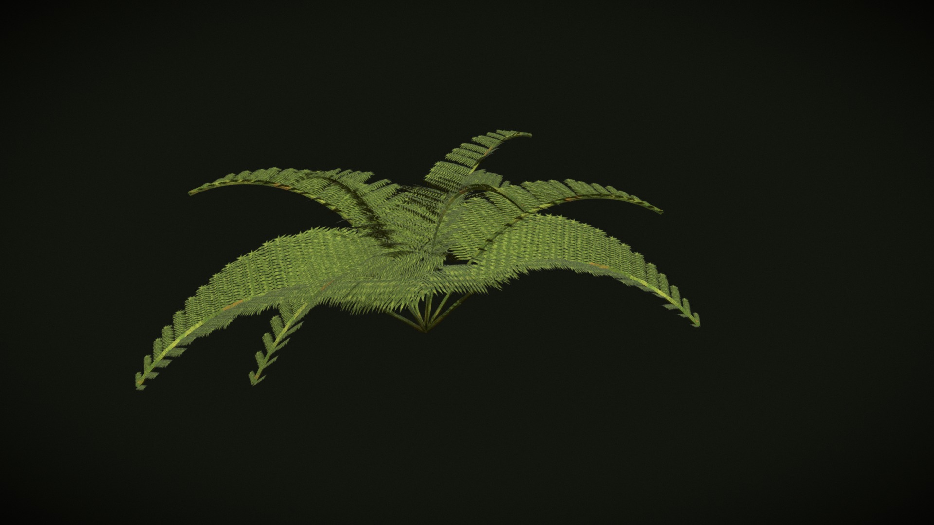 Fern - 3D model by Addison Moyer (@Addison.Moyer) [b95fc43] - Sketchfab