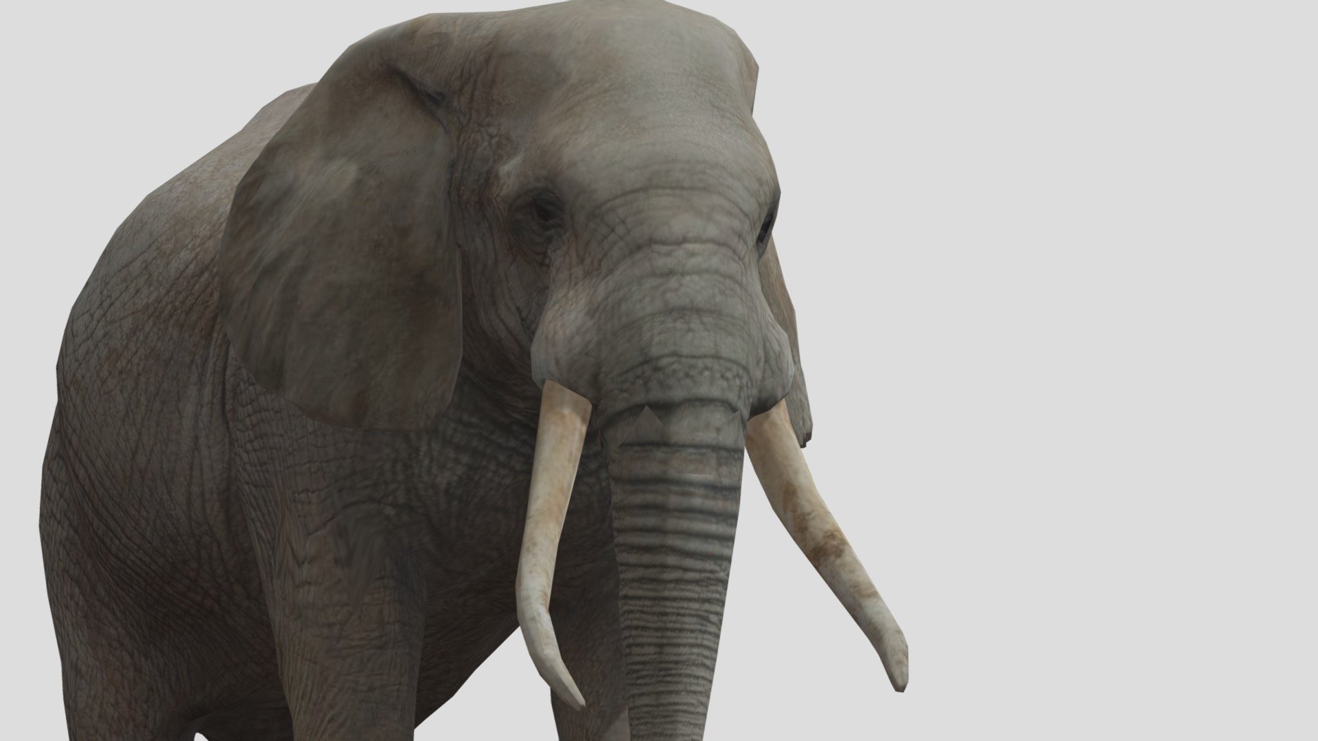 African Elephant - Download Free 3D model by jimmyho905 [b960467 ...