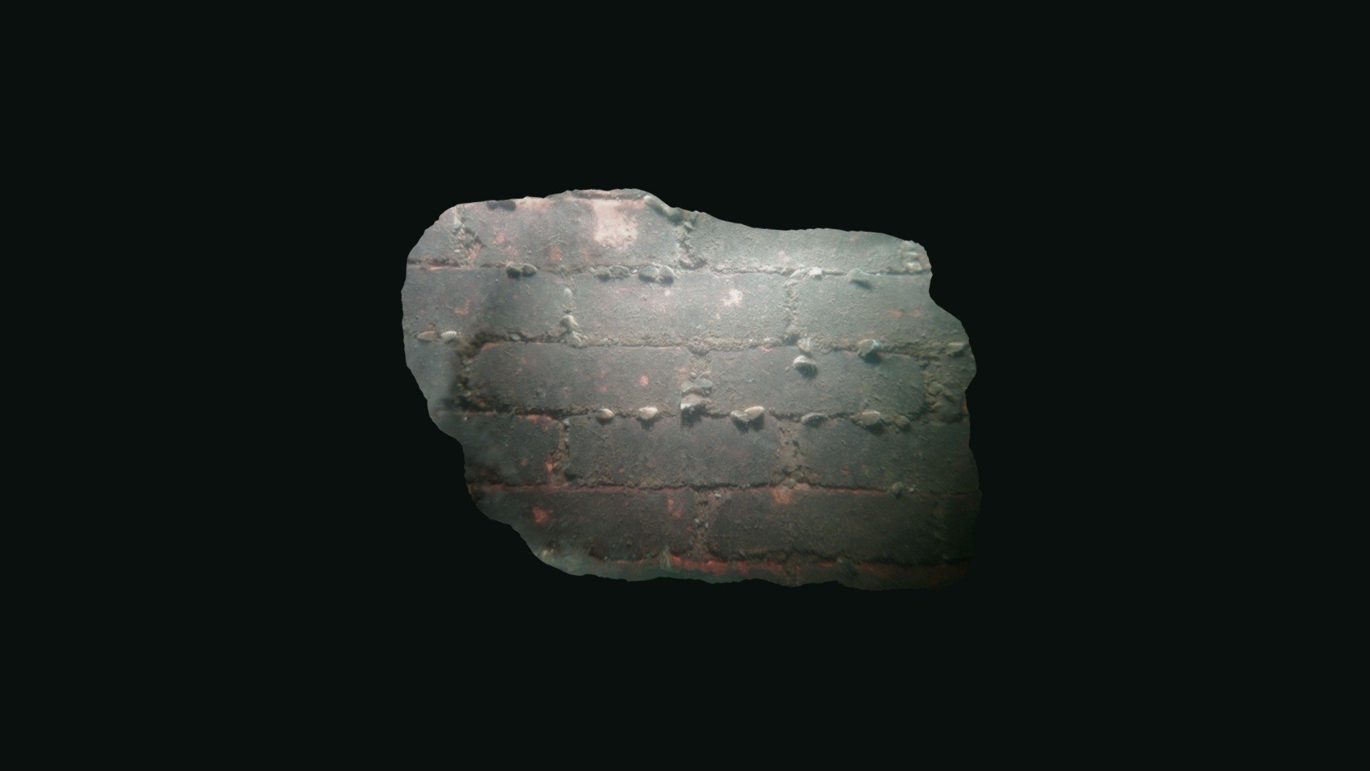 Zebra mussels on brick wall under water - 3D model by Blueye Robotics ...