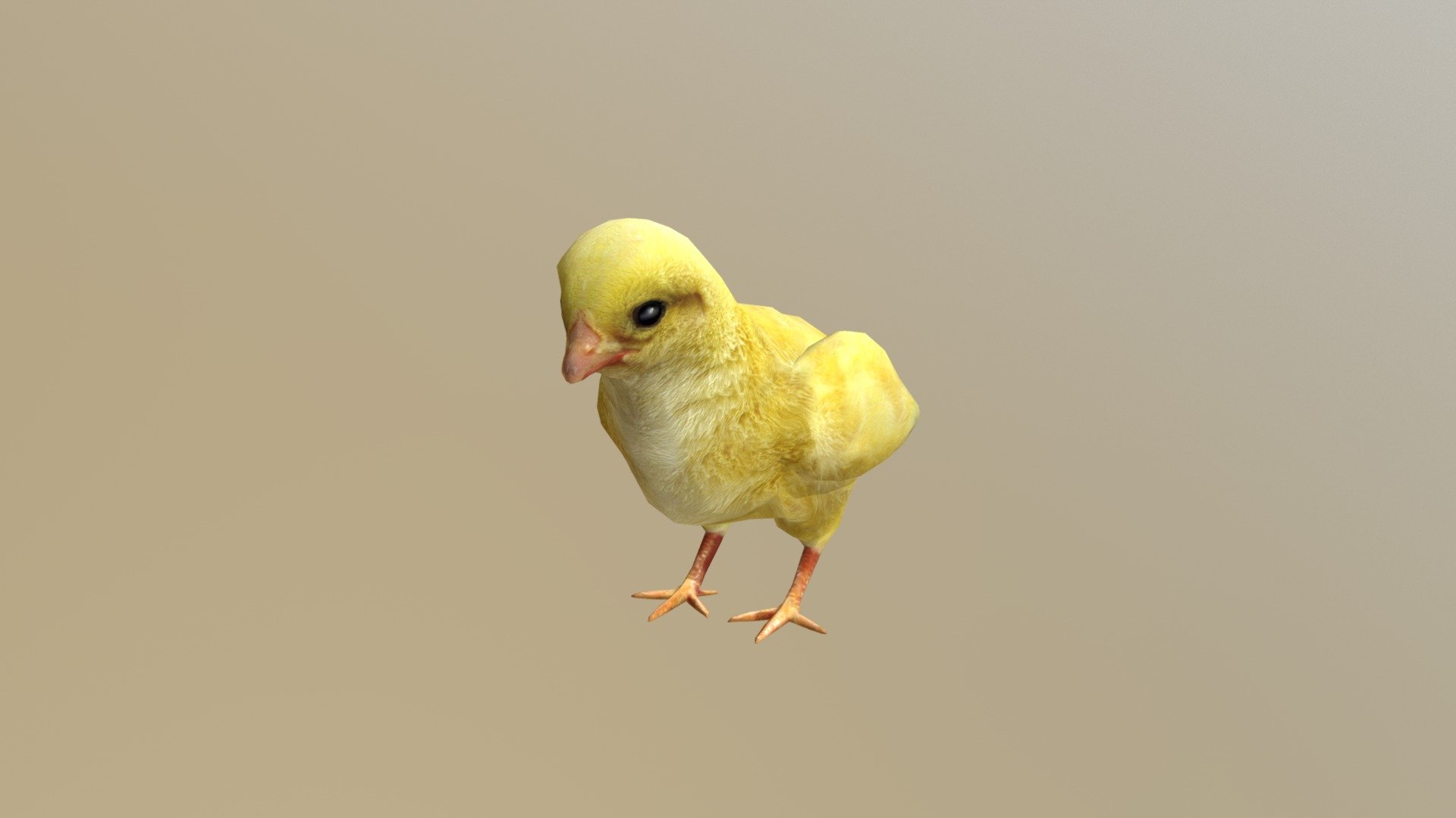 Chick(old) - Buy Royalty Free 3D model by Rifat3D [b975640] - Sketchfab ...