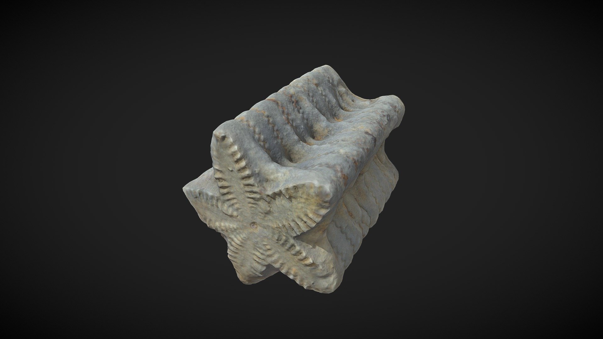 Isocrinus sp. - 3D model by García Ávila, M. (@garcia.avila) [b9799a7 ...