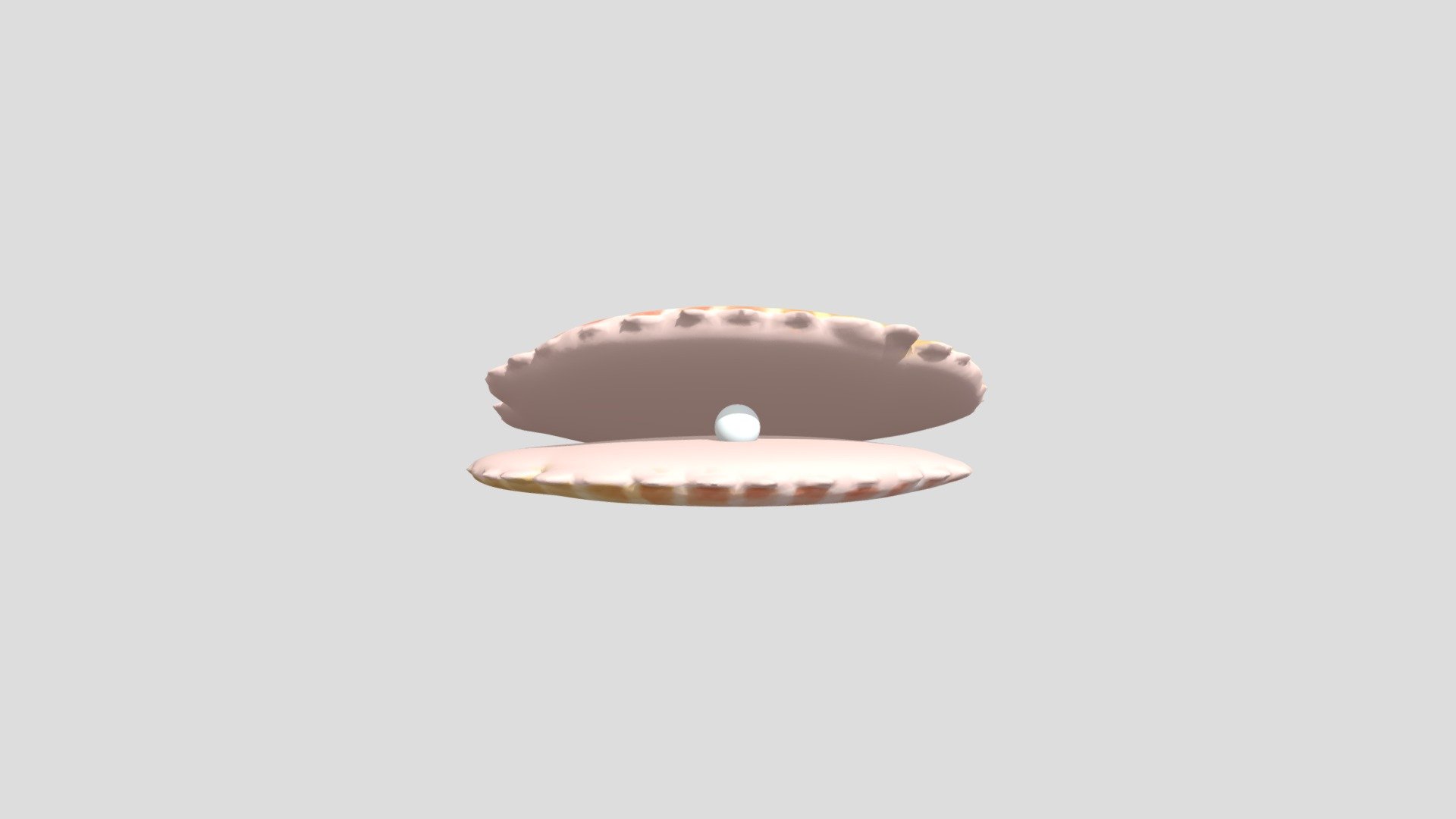 Shell / Kerang - Buy Royalty Free 3D model by HanZz (@Shi.KinderEDU ...