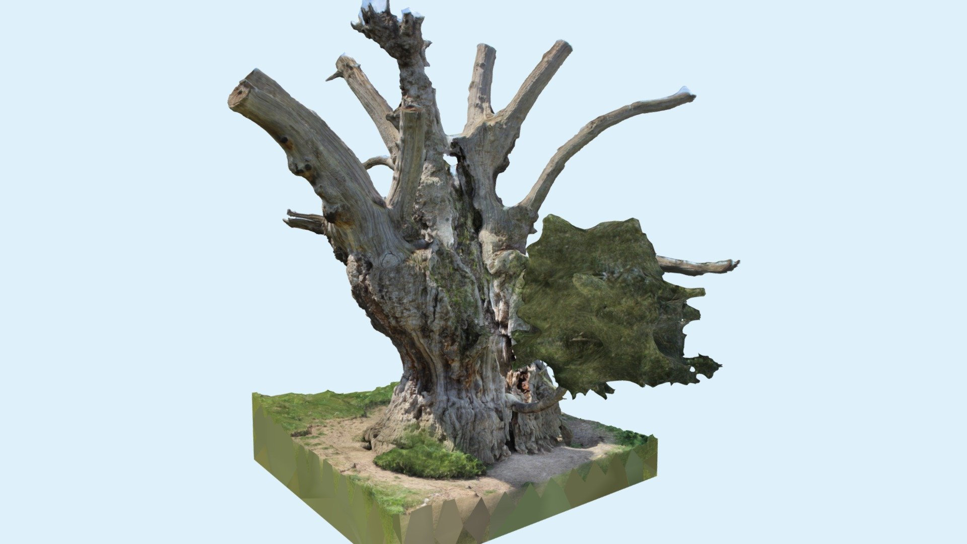 John Bunyan Preaching Oak - Download Free 3D model by Bob Currie (@mooreheadmodels) [b984d6d ...