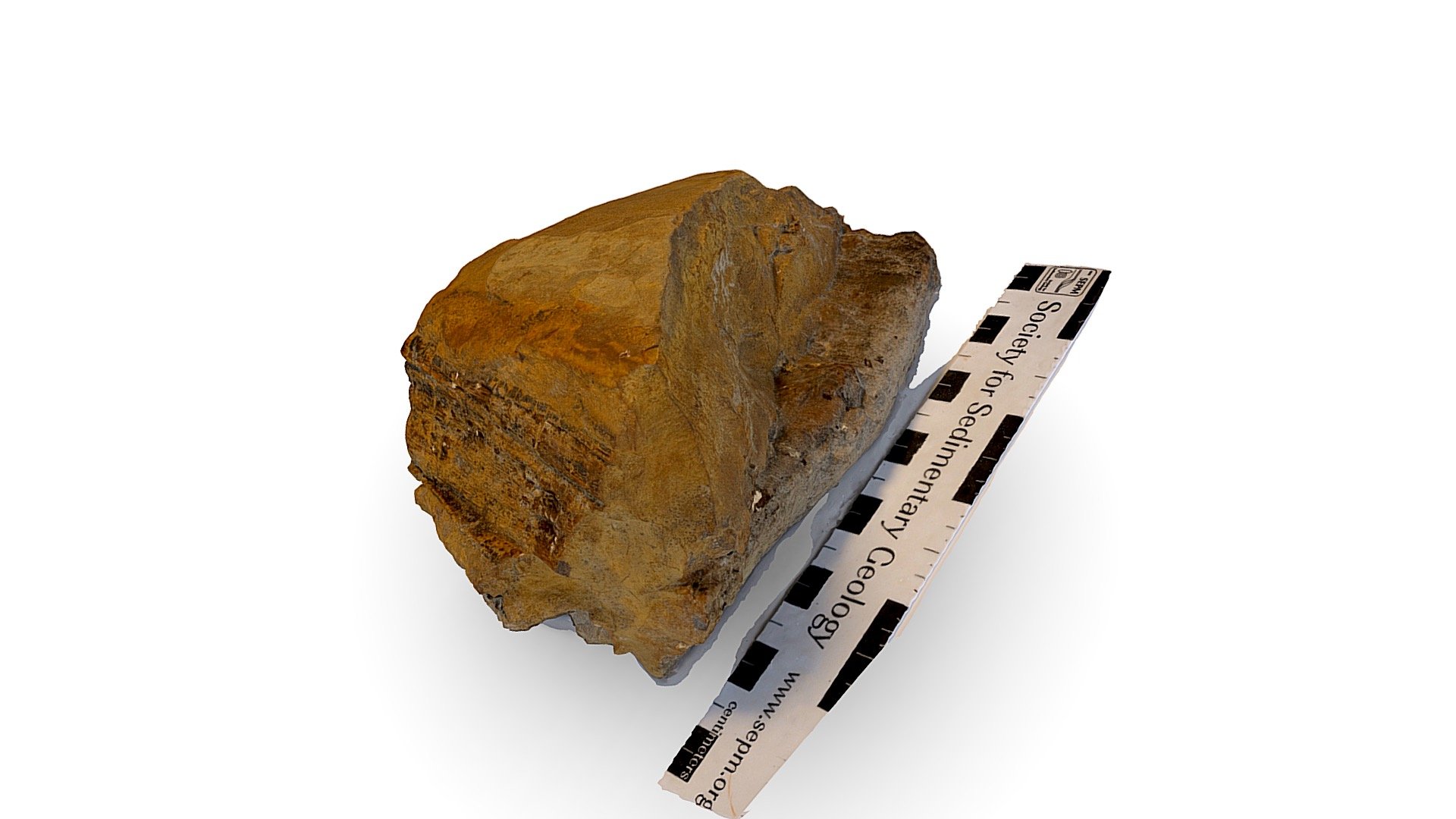 Clay Products Sample 1-4 - Download Free 3D model by albionsedpaleo ...