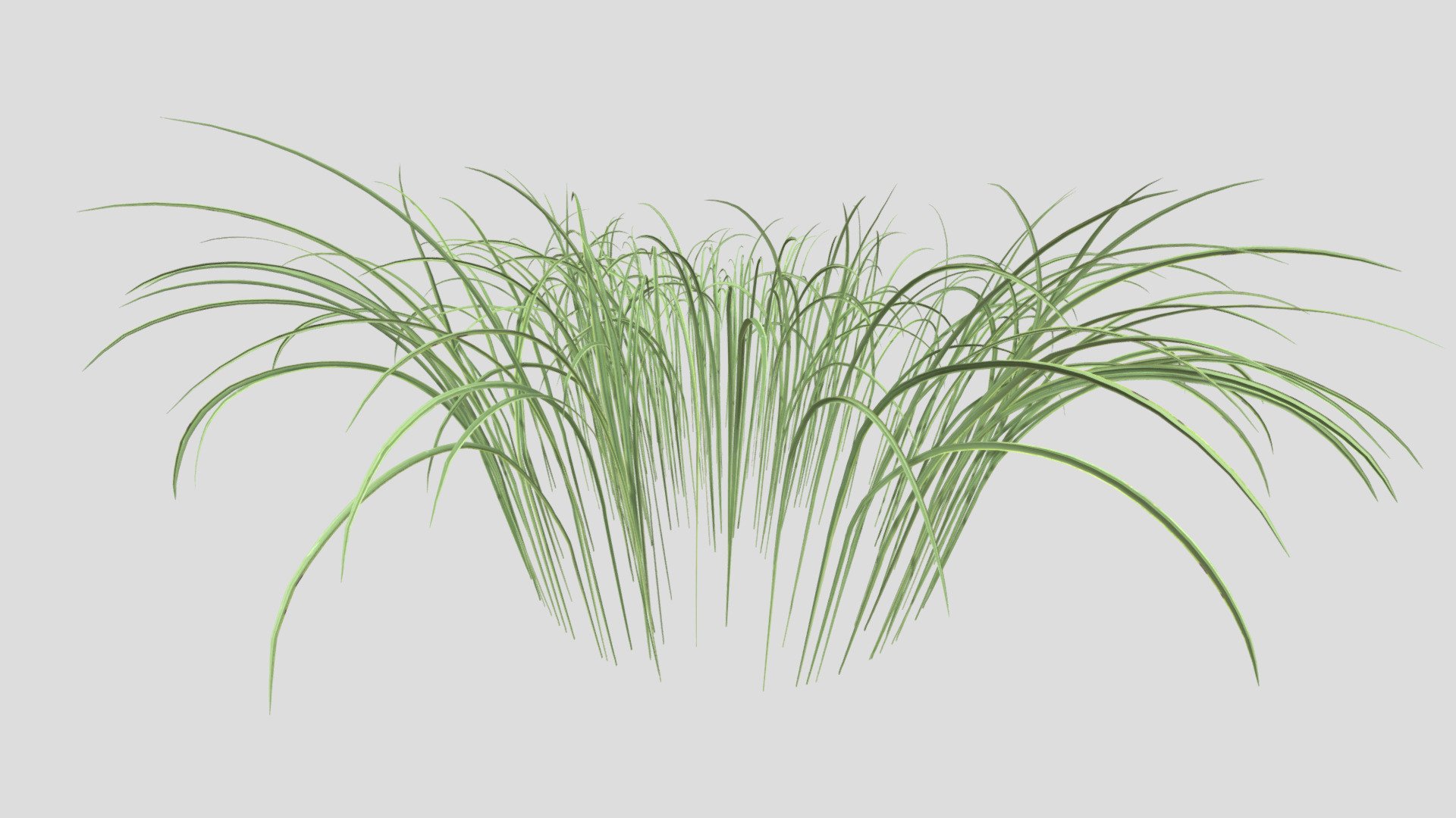 Realistic grass with mesh - 3D model by Evgeny.Pukki [b988f38] - Sketchfab
