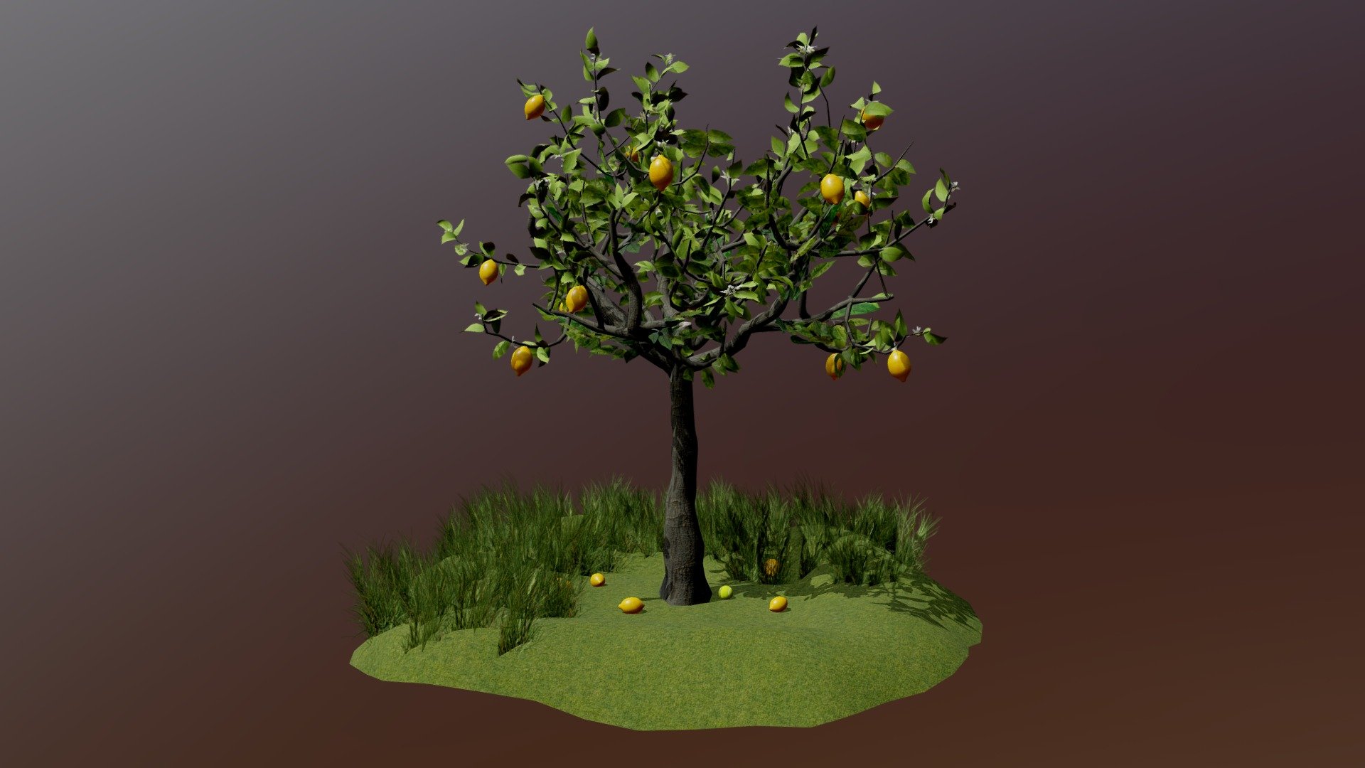 Lemon Tree - 3D model by palomadelapaz [b989073] - Sketchfab