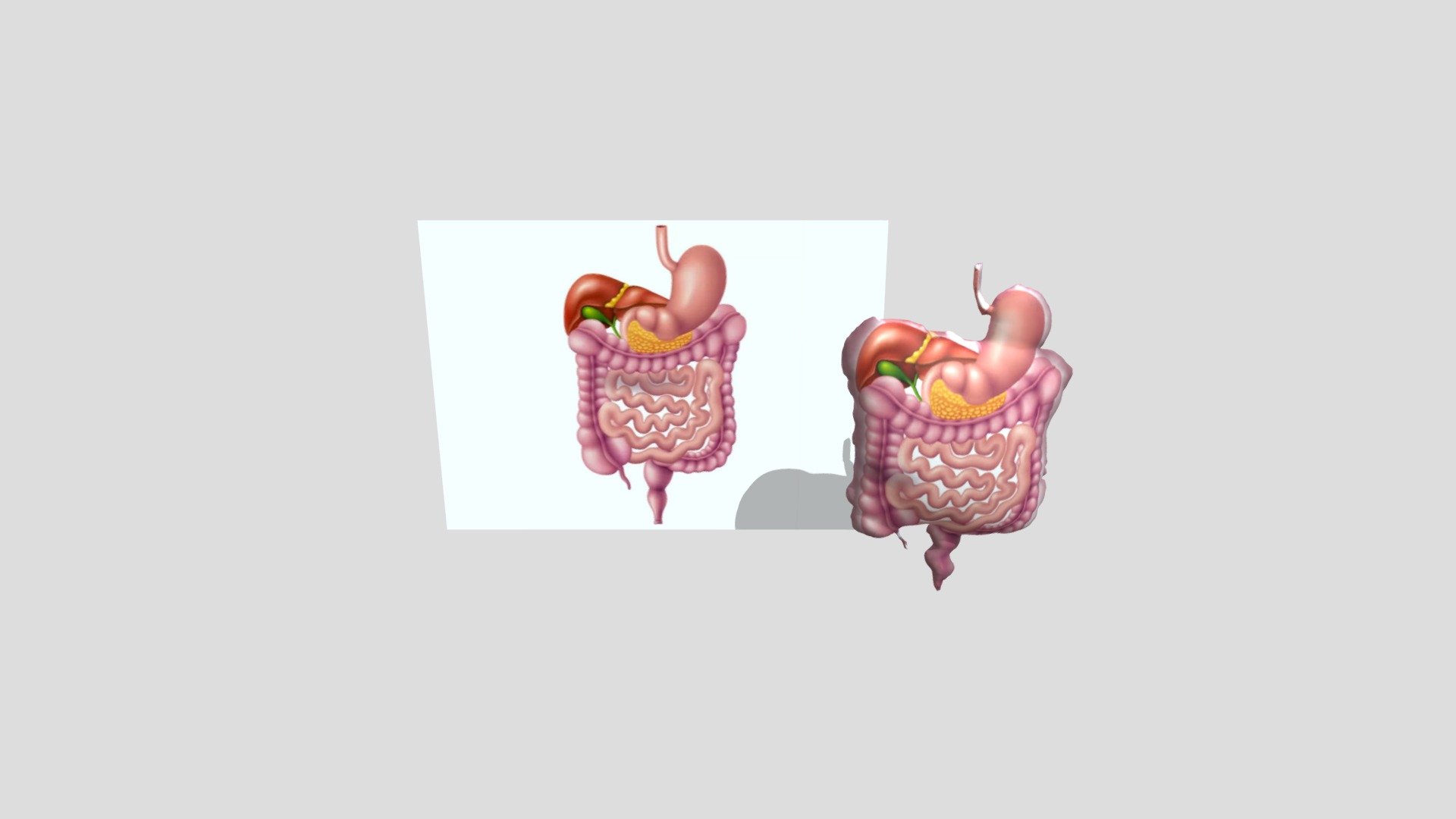 Organ - 3D model by feby6536 [b98fd51] - Sketchfab