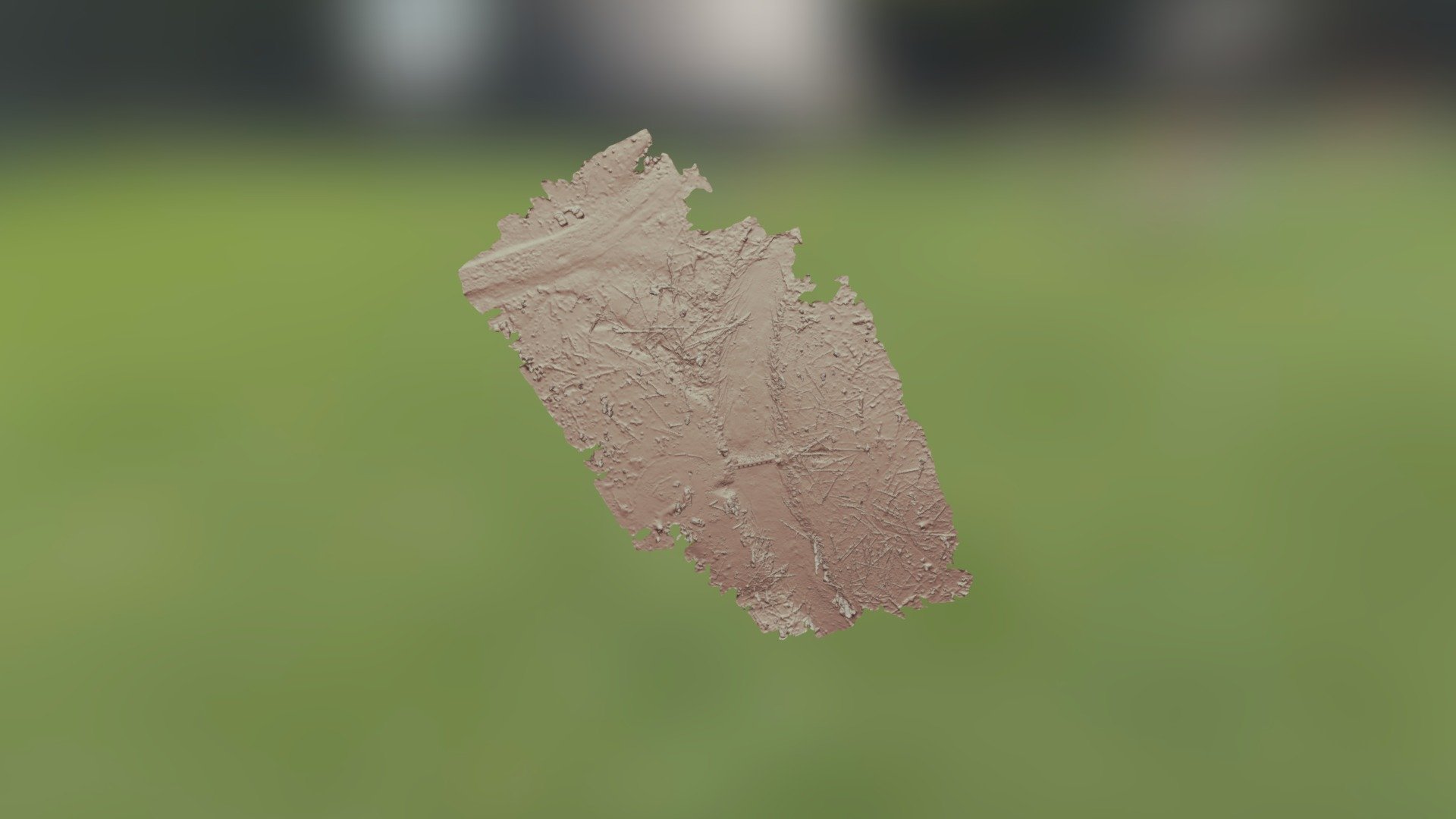 Redfish 3rd And 4th Simplified 3d Mesh - Download Free 3D model by ...