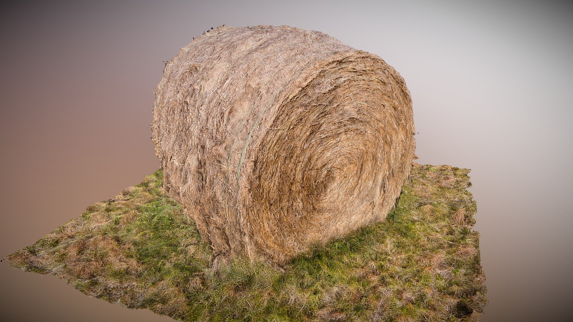 Bale of Hay - Buy Royalty Free 3D model by johnnokomis [b9975fd ...