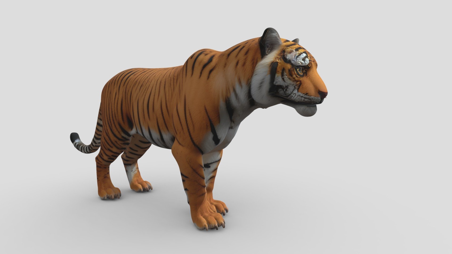 TIGER - Download Free 3D model by krit yamsaso (กฤษณ์ แย้มสระโส) (@krit ...