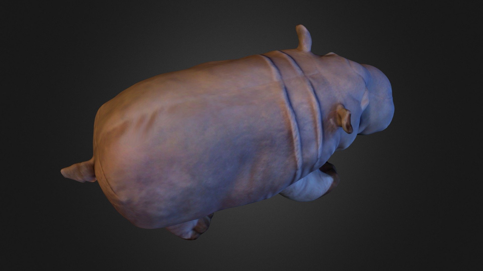 hippo - 3D model by ryancnelson [b99aacd] - Sketchfab