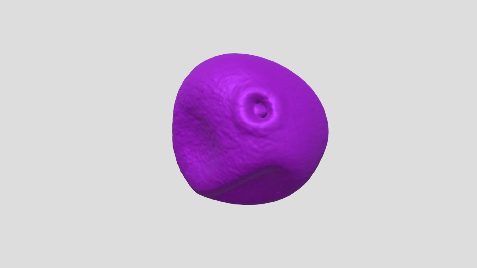 Fog Grass Holcus Lanatus Pollen Grain 3d Model By Cardiff University Bioimaging Hub