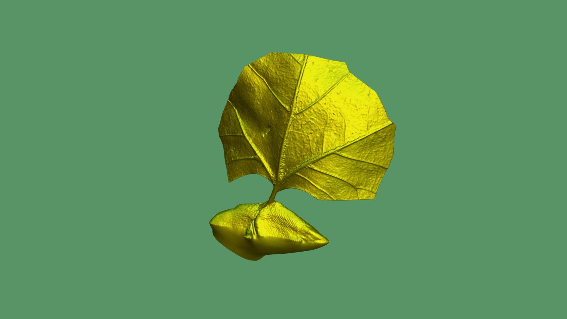 Leaf - Download Free 3D model by Nancy/Lanzi Luo (@Thunk3D-Nancy ...