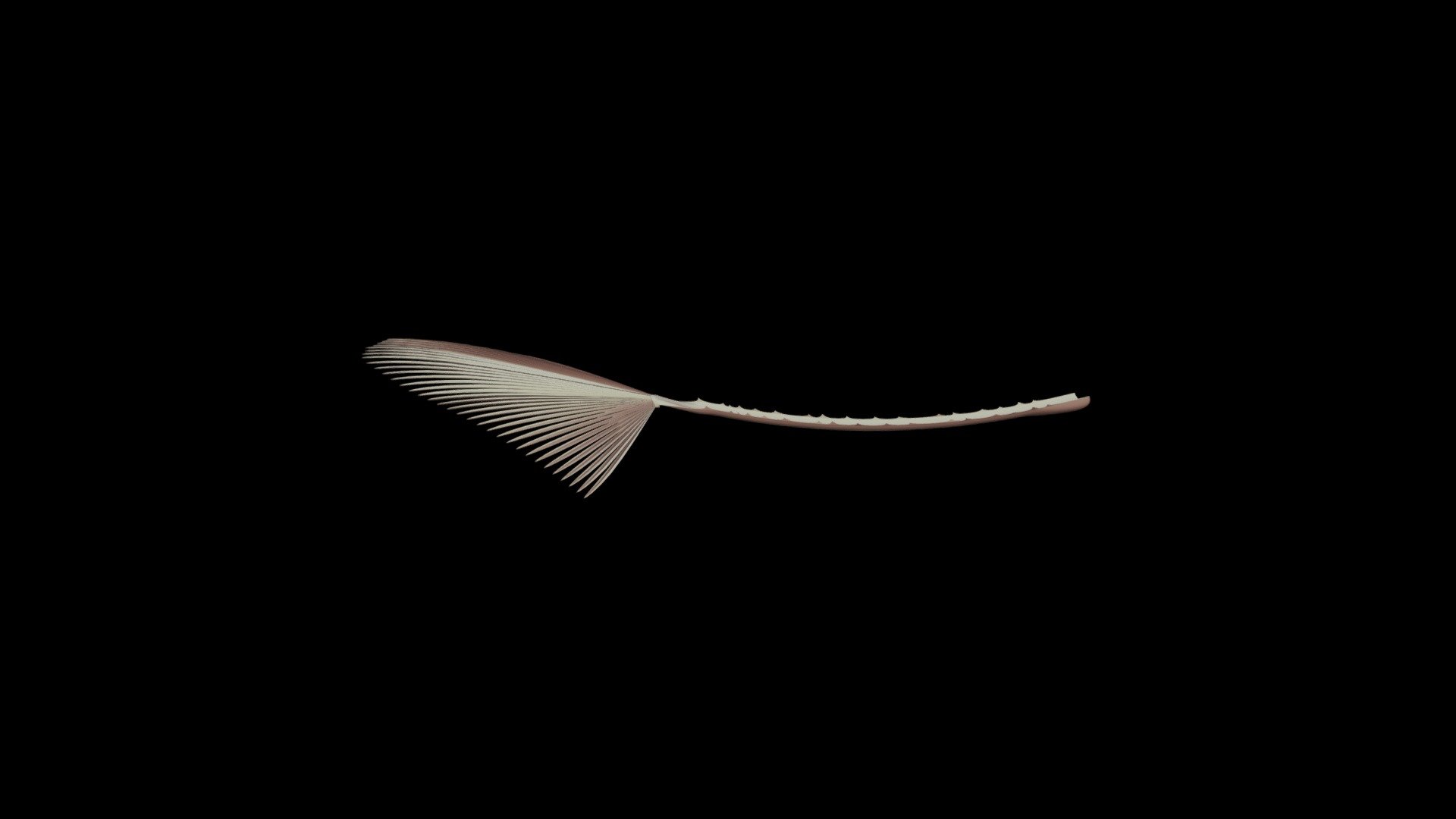 leaf - 3D model by celilferahzade [b9a9f01] - Sketchfab